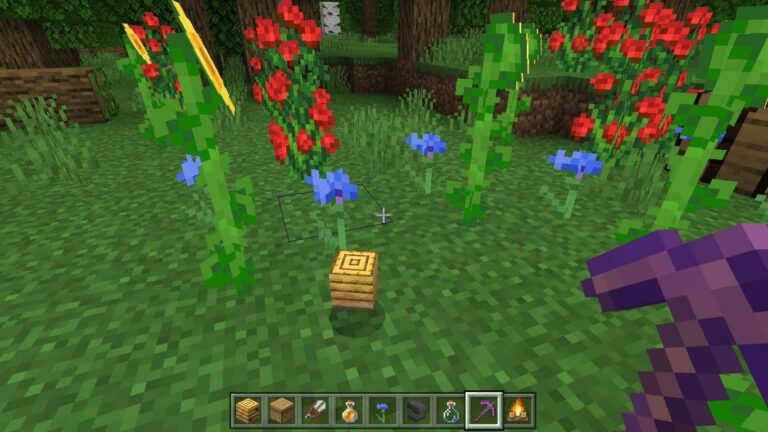 An In-Depth Guide To Move A Beehive in Minecraft | eSportsLatest